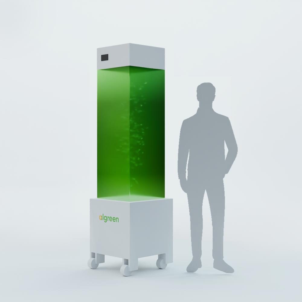 Large-Scale Microalgae Trees and Walls|Urban Air Purification – AlGreen