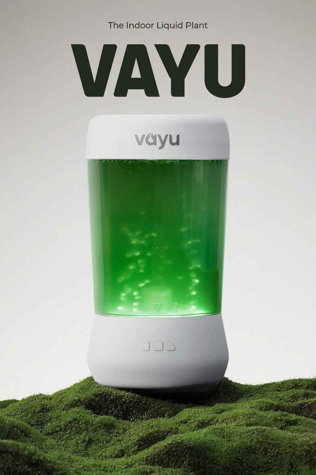 AlGreen | Microalgae Air Purifier for Home | Breathe Better