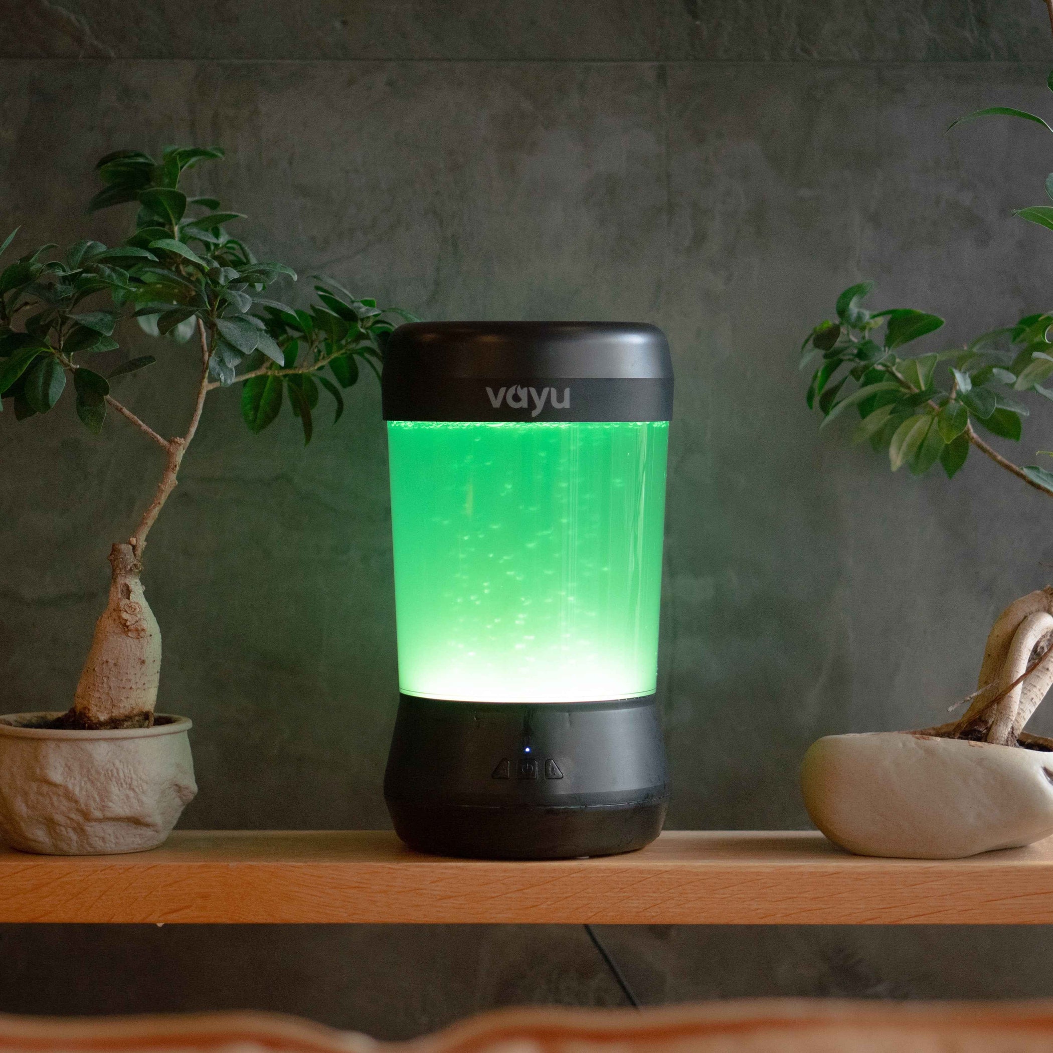 Nature-Powered Microalgae Air Purifiers for Sustainable Living – AlGreen
