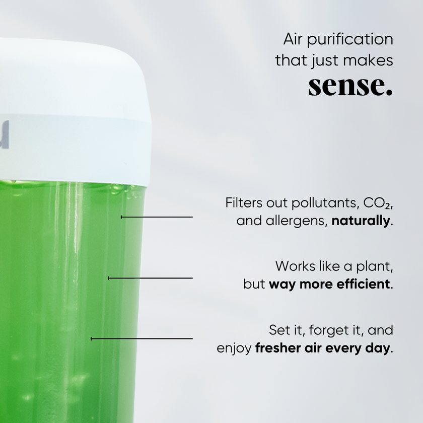 Nature-Powered Microalgae Air Purifiers for Sustainable Living – AlGreen