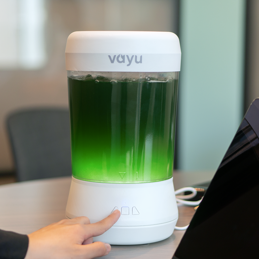Nature-Powered Microalgae Air Purifiers for Sustainable Living – AlGreen