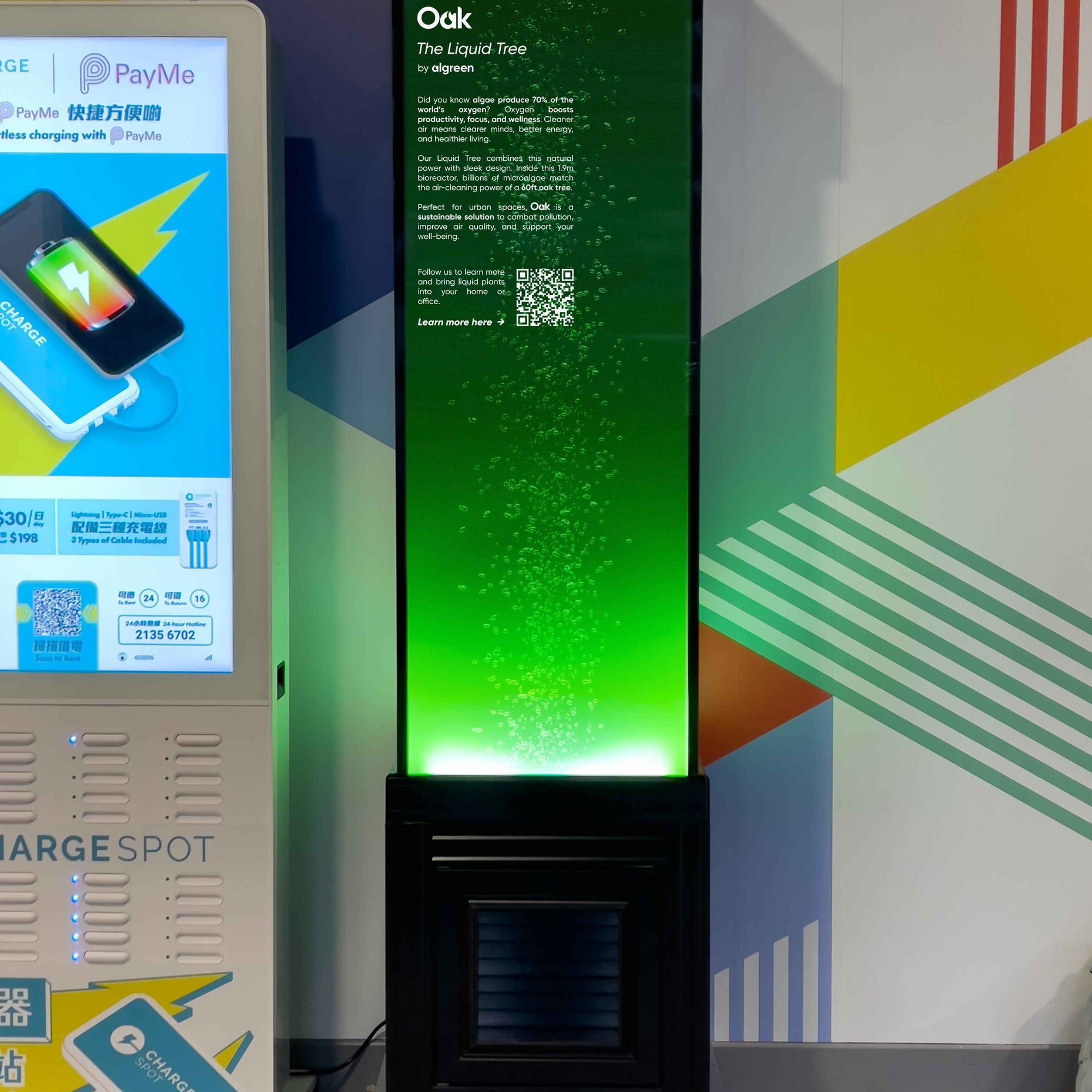 OAK The Liquid Tree – Eco-Friendly Air Purifier Solution – AlGreen